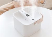 China 2.5L Dual Atomize Ultrasonic Air Humidifier Mini Household Impeller for sale