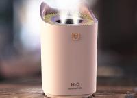 China 3L Dual Nozzles Cool Mist Air Humidifier , 210ml/H LED Led Air Humidifier for sale