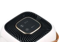 China 8w Portable USB Air Purifier Negative Ion Desktop Hepa Filter For Home for sale