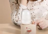 China 250ml Home Steam Laday Humidifier Aromatherapy Cool Mist Mini Usb Bottle Fashion Advanced Humidifier for sale
