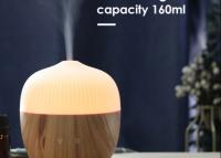 China 160ml Plastic USB Essential Oils Nuts USB Ultrasonic Home Aromatherapy Essential Oil Humidifier for sale