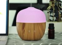 China 160ml Plastic USB Essential Oils Nuts USB Ultrasonic Home Aromatherapy Essential Oil Humidifier for sale