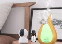 China 200ml Wood Grain Petal Aromatherapy Machine Marble Humidifier Desktop Essential Oil Perfume Machine for sale