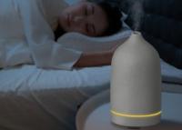 China 100ml Ultrasonic Atomizer Air Mist Humidifier Aromatherapy Essential Oil Diffuser With Ceramic Large Ceramic Humidifier for sale