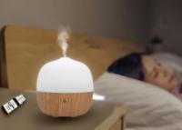 China 160ml Plastic USB Essential Oils Coconut Aromatherapy Machine Humidifier for sale