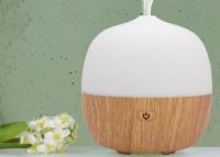 China 160ml Plastic USB Essential Oils Coconut Aromatherapy Machine Humidifier for sale