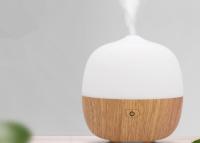 China 160ml Plastic USB Essential Oils Coconut Aromatherapy Machine Humidifier for sale