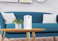 China Battery Aroma Diffuer Automatic Spray Air Purifier Scent Machine For Scent Marketing for sale