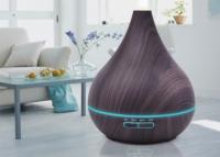 China Mini Garlic Air Humidifier Home Aromatherapy Pointy Mouth Wood Grain Aromatherapy Machine for sale