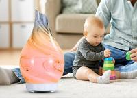 China 100ML essential oil diffuser ultrasonic Aromatherapy cold Ultrasonic Humidifier for sale