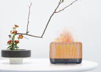 China Flame Wood humidifier wet air oxygen facial humidification with LED light humidifier for sale