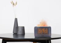 China Flame Wood humidifier wet air oxygen facial humidification with LED light humidifier for sale