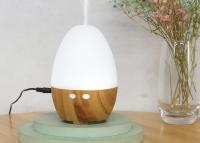 China 130ML Mini Colorful Egg Humidifier 7 Color Night Light Ultrasonic Humidifier Diffuser for sale