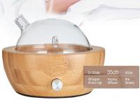 China 30ml Waterless Nebulizing Essential Oil Diffuser Us Therapy Beech Wood Glass for sale