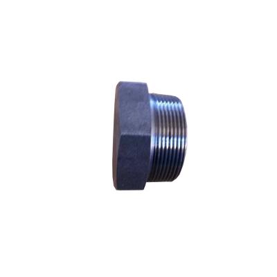 China High Pressure 3000 PSI Q235 Stainless Steel Forged Fittings for sale