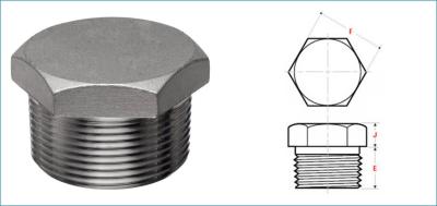 China Hex Head SCH STD GB Stainless Steel Forged Fittings for sale