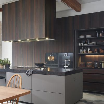China Highly ODM/OEM Modern Black Kitchen Cabinet Furniture with Veneer and Lacquer Finish for sale