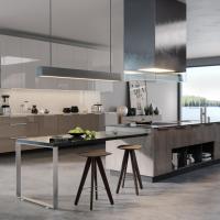 China Highly ODM/OEM Modern Black Kitchen Cabinet Furniture with Veneer and Lacquer Finish for sale