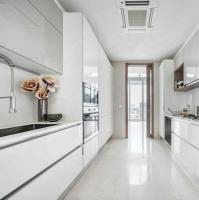 China European Style Kitchen Cabinet Latest Perfect Workmanship Lacquer Surface Treatment for sale