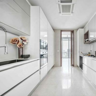 China European Style Kitchen Cabinet Latest Perfect Workmanship Lacquer Surface Treatment for sale