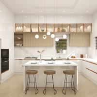 China Modern Design Solid Wood Cabinets and Accessories for a European Touch of Luxury for sale