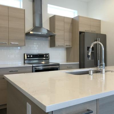China Custom E1 Particleboard Wood Kitchen Pantry Cabinet with Customized Veneer Color for sale