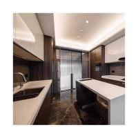 China Blum Drawer Modern Design Waterproof Kitchen Cabinets with Veneer and Lacquer Finish for sale