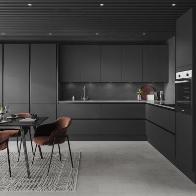 China Blum Black Matt Lacquer European Style Kitchen Cabinet with Quartz Stone Countertop for sale