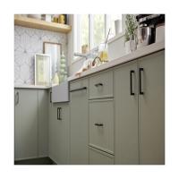 China Customize Your Apartment Kitchen with end Solid Wood Cabinets and Waste Container for sale