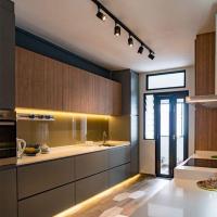 China Top Veneer and Bottom Lacquer Finish Wooden Kitchen Cabinet for High End Home Apartment for sale