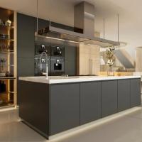 China Blum Hardware Kitchen Island Pantry Cupboard with Solid Wood Door Panel in Black Design for sale