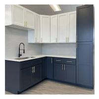 China Modern Style Shaker Solid Wood Cabinets with White Lacquer Finish and Glass Top Design for sale