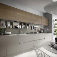 China Blum Handleless Light Gray Matte Storage Cabinets for Modern Kitchen Furniture Design for sale