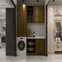 China Modern Style High End Stainless Steel Laundry Room Cabinet with Plywood Door Material for sale
