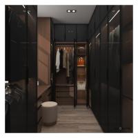 China Stylish Walk-in Closets Lighting Design Black Glass Door Panel with Foldable Panels for sale