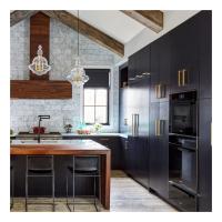 China Customized Ral Color Chart Black Lacquer Finish Modern Solid Wood Cabinets for Apartments for sale