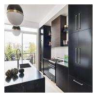 China Customized Ral Color Chart Black Lacquer Finish Modern Solid Wood Cabinets for Apartments for sale