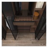 China Modern Design Style Wooden Minimalist Wardrobe with Glass Door Panel and Light Strip for sale