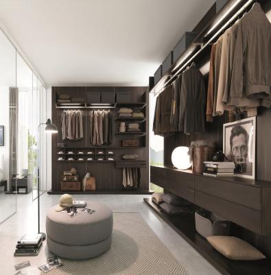 China Modern Bedroom Furniture Moisture Resistance Walk-in Wardrobe for Wall Installation for sale