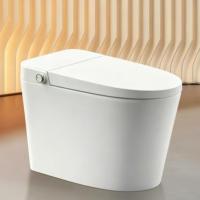 China OEM Sanitary Bathroom Products Non Electric Smart Intelligent Water Closet Toilet for sale