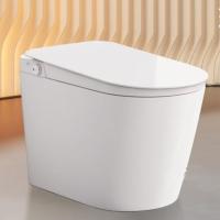 China OEM Sanitary Bathroom Products Non Electric Smart Intelligent Water Closet Toilet for sale