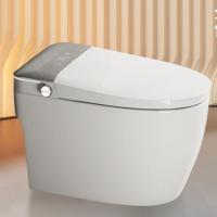 China OEM Sanitary Bathroom Products Non Electric Smart Intelligent Water Closet Toilet for sale