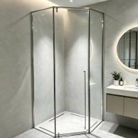 China Bathroom Tempered Glass Frameless Shower Enclosure Hinged Pivot Door for sale