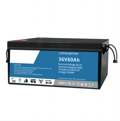 China Multiscene EV Lithium Iron Phosphate Battery IP55 Waterproof With BMS for sale