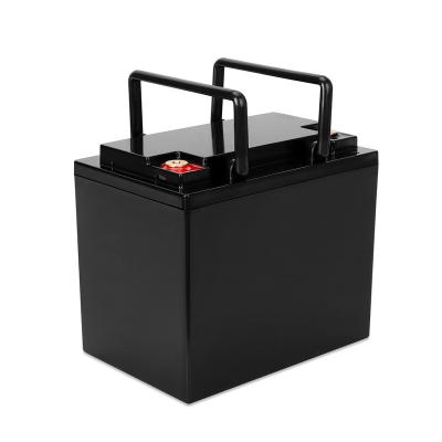 China Dustproof Larger Lifepo4 Ebike Battery BYD 2560WH With Matt Black Shell for sale