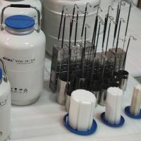 China liquid nitrogen tank canister with lifter stainless steel canister square sperm freezing kit for sale