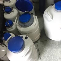 China animal Veterinary Insemination Instrument YDS6/10 Cattle bovin frozen semen artificial insemination tank for Cattle for sale
