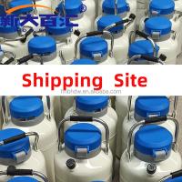 China artificial insemination freezing transporte semen 30 80mm liquid nitrogen tank reserve semen for sale