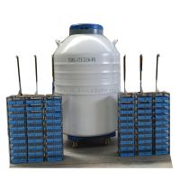 China Normal Pressure 681*681*850 Vaccine Storage YDS-115-216-F/95L Liquid Nitrogen Container for sale