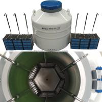 China Normal Pressure 681*681*850 Vaccine Storage YDS-115-216-F/95L Liquid Nitrogen Container for sale